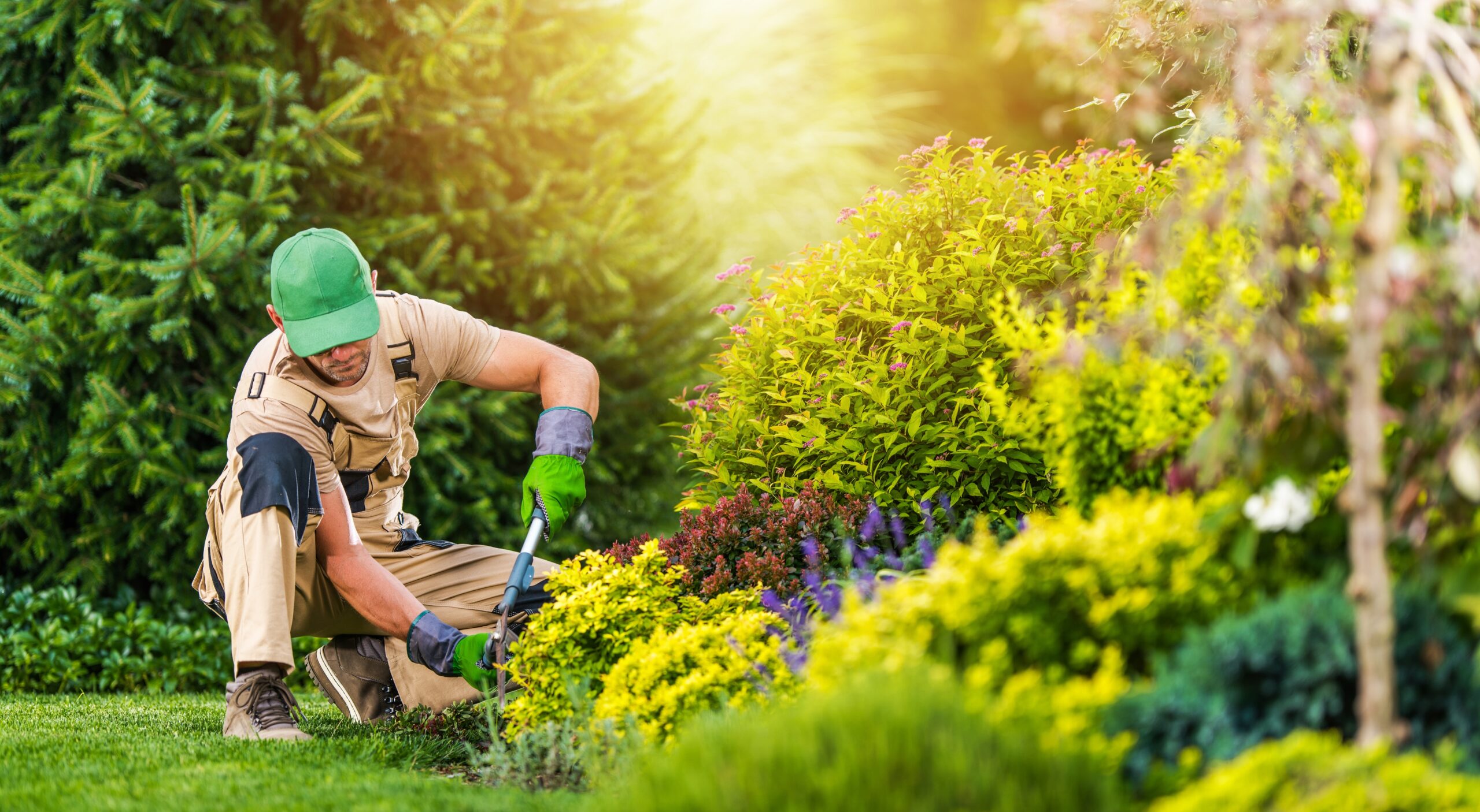 Landscape Maintenance in Lincoln, NE