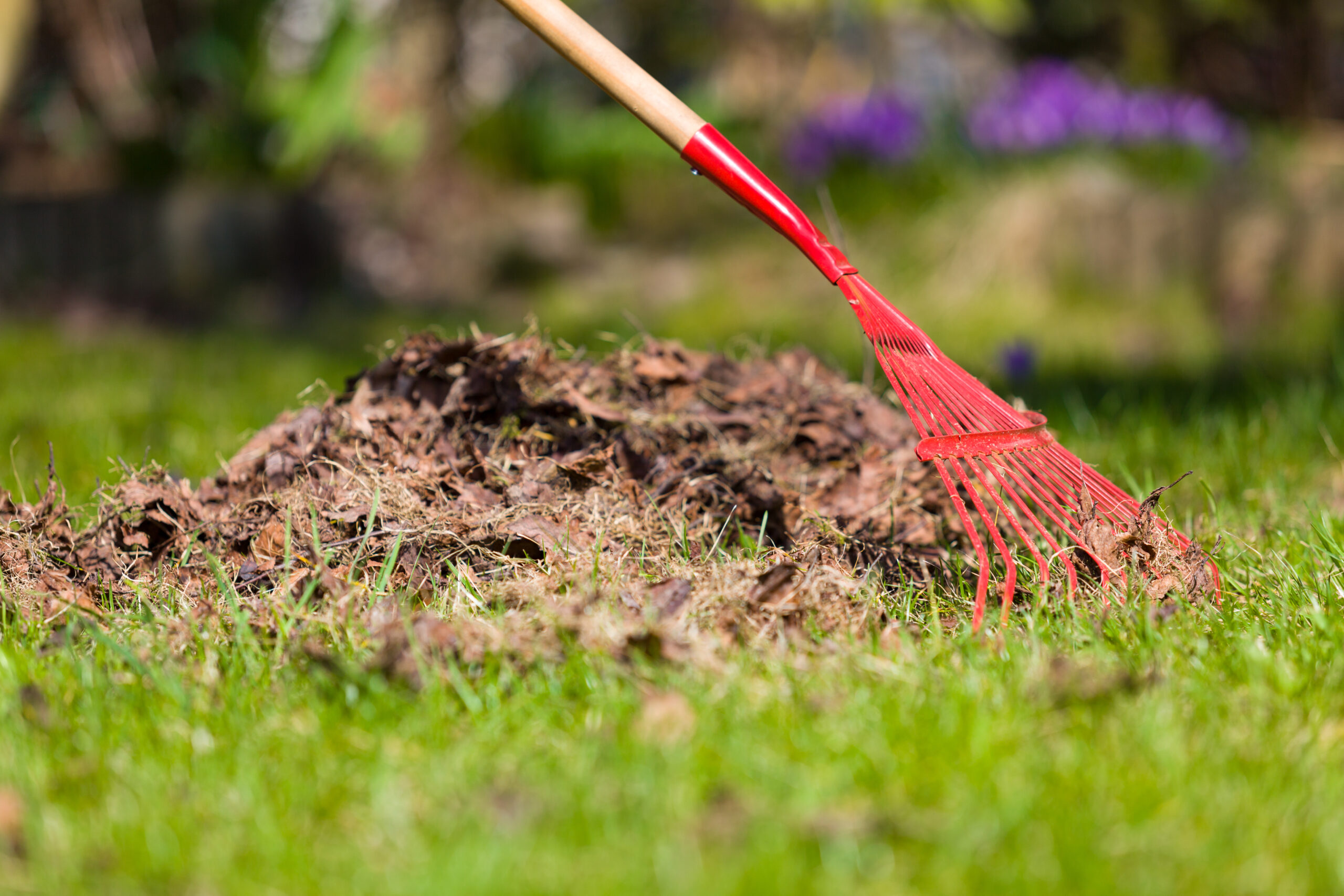 The Complete Guide to Spring Yard Cleanup in Lincoln, NE